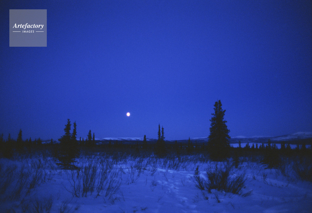 Artefactory Images | アート・教育・写真