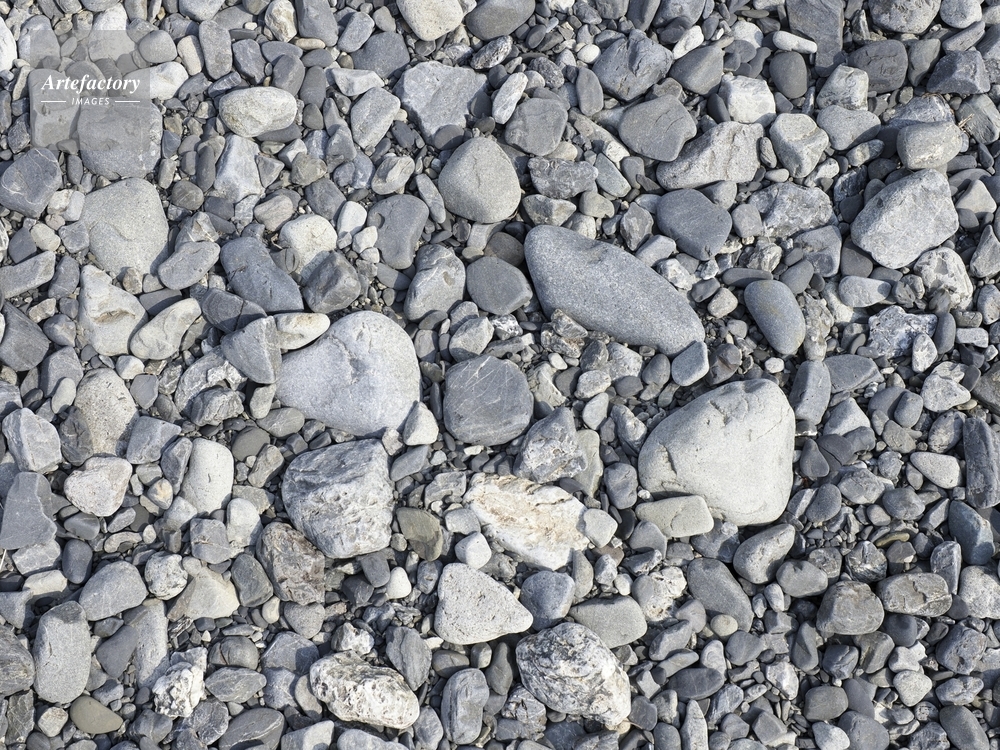 大井川中流の石