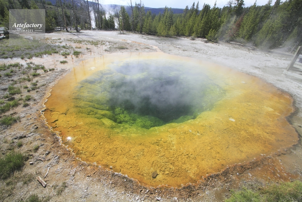イエローストーン国立公園
