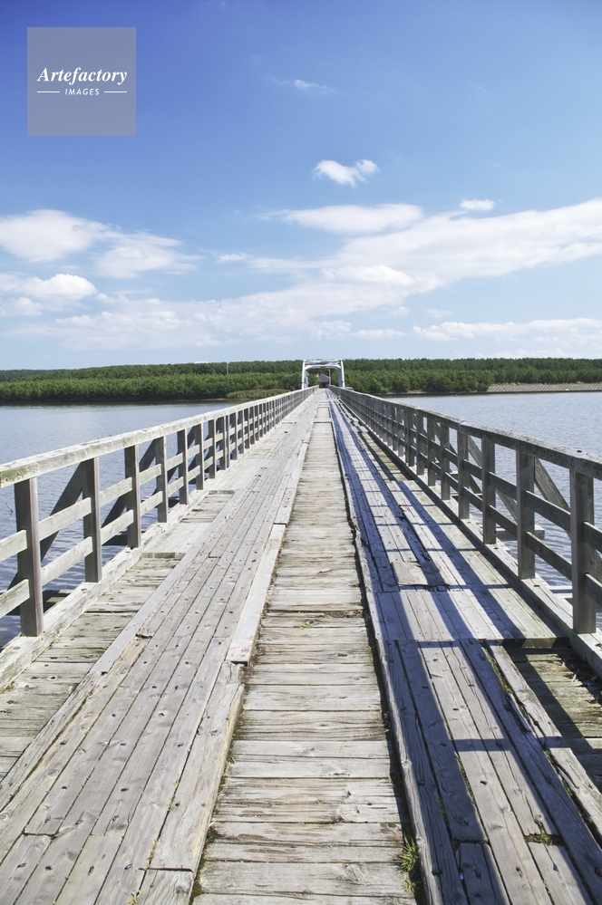 十三湖と中島遊歩道橋