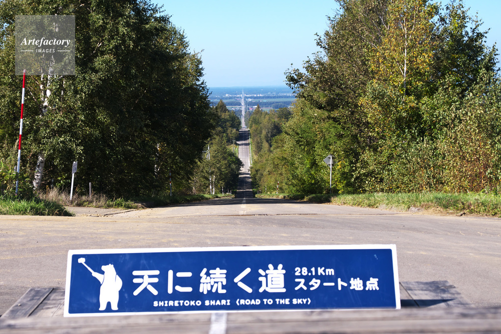 天に続く道