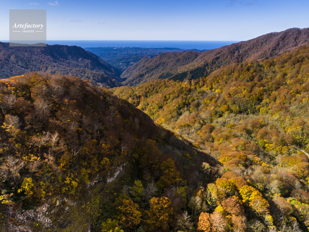 白神山地の白神岳展望所の紅葉