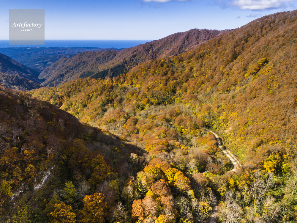 白神山地の白神岳展望所の紅葉